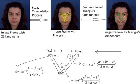 Pictorial Representation For Computation Of Angle Components From Download Scientific Diagram