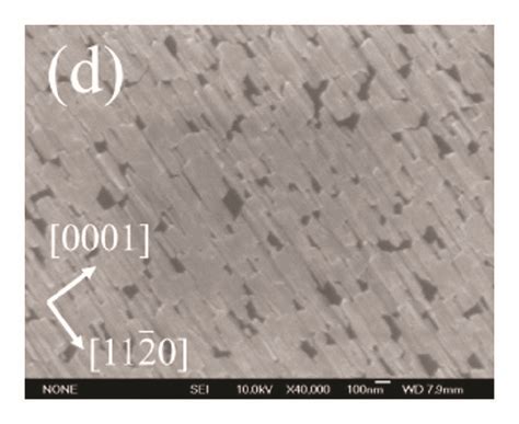 SEM Images Of Samples A B C D And E A E The Scale Bar Is Download Scientific Diagram