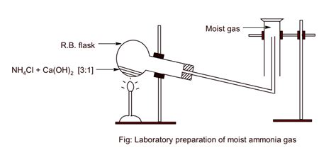 Laboratory Preparation Of Ammonia Chemistry Lab Sajha Notes