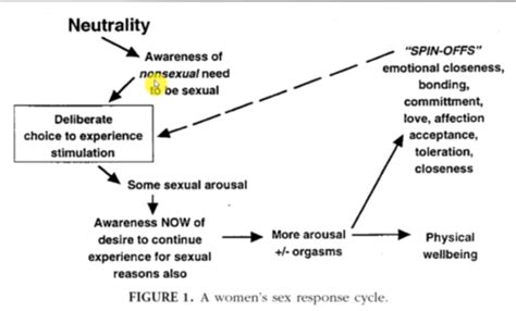 072 Female Sexual Response Flashcards Quizlet