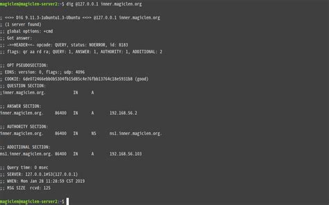 使用Ubuntu Server架設網域名稱伺服器 DNS Domain Name Server MagicLen