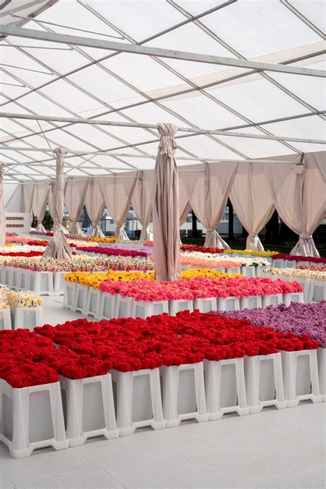CJ Hendry Moves 100 000 Plush Flowers Installation Overnight