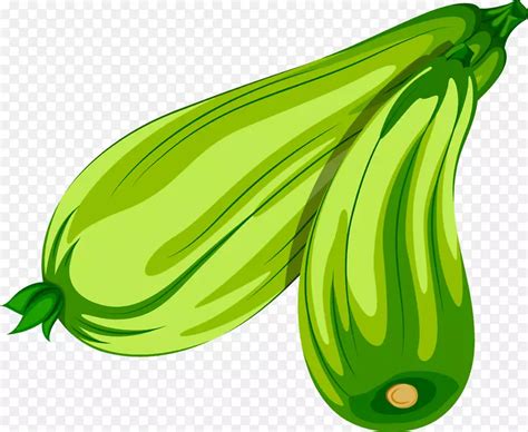 卡通手绘蔬菜装饰海报设计瓜png图片素材下载图片编号7287142 Png素材网