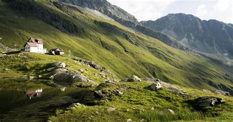 Prepare A New Nextjs Project 🍵