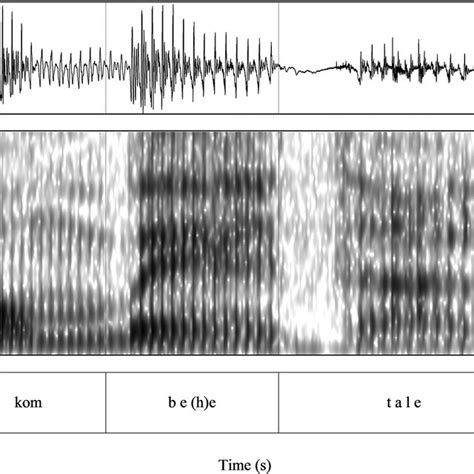 sample spectrogram with cues used for identification of h segment and