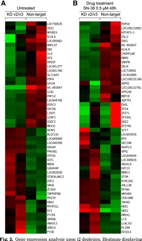 Figure 2 From Dual Roles For Splice Variants Of The Glucuronidation Pathway As Regulators Of