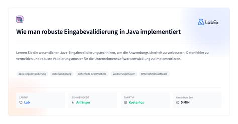 Wie Man Robuste Eingabevalidierung In Java Implementiert Labex