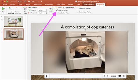How To Embed A YouTube Video In PowerPoint On Or Offline
