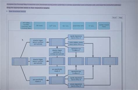 Solved Complete The Concept Map To Describe Ionic Movement