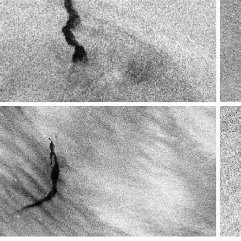 Sample From The Benchmark Oil Spill Dataset Download Scientific Diagram