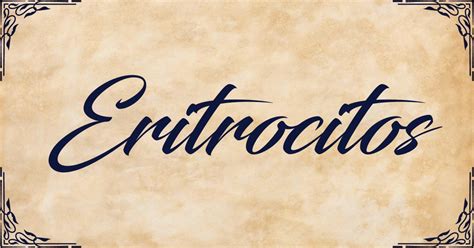 Eritrocitos Información Completa Definición Ejemplos Y Más