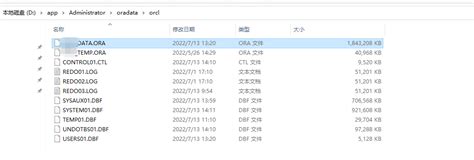 Oracle Java Oracle Ora Xxxx Xxx Data
