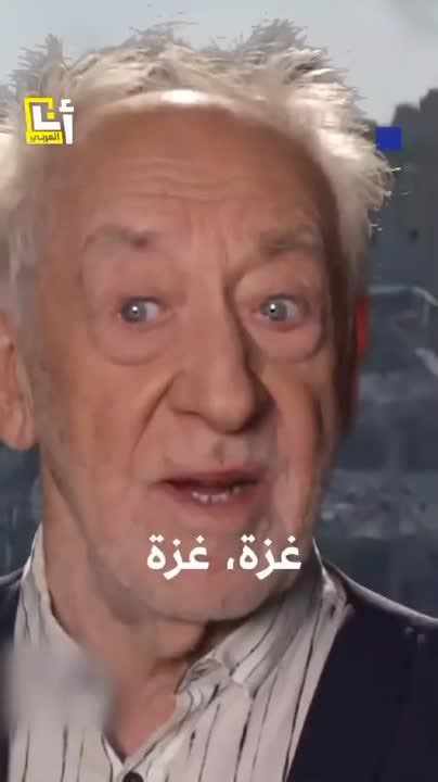 hammad hammash on linkedin freepalestine stopgazagenocide