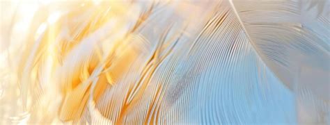 Abstract Feather Textures In Dynamic Motion Premium Ai Generated Image