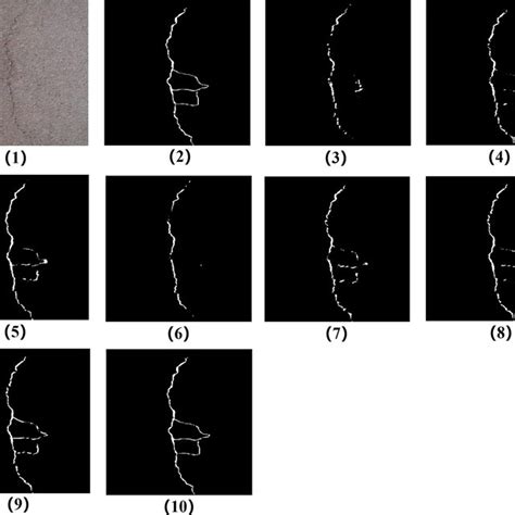 each row contains a sample taken from our datasets a the ground