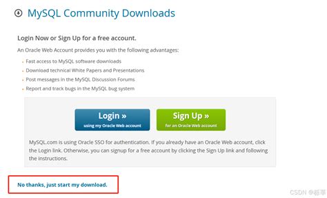 Mysql810的下载安装以及环境配置详解版mysql 81 Csdn博客 Mysql810的下载安装以及环境配置详解版mysql 81 Csdn博客