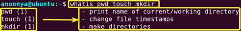 The Whatis Command In Linux Practical Examples