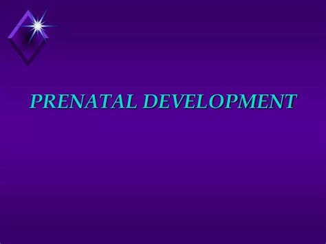 Ppt Prenatal Development Powerpoint Presentation Free Download Id
