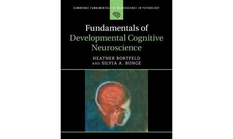 Fundamentals Of Developmental Cognitive Neuroscience Cambridge Fundamentals Of