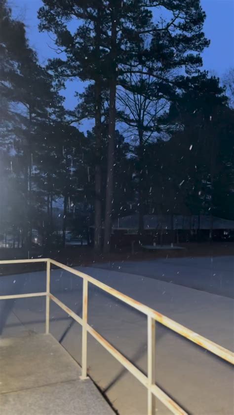 Thursday 03 20 25 Its Friday Lite Also The First Day Of Spring And Jens Birthday By