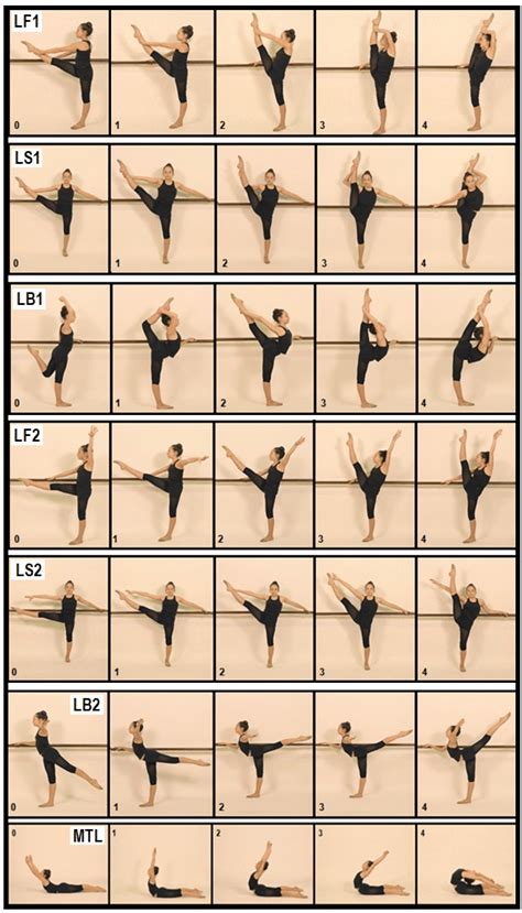 Reference Points 0 4 Of Flexibility Tests Leg Pull Forward With Help