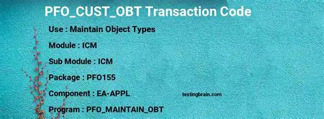 Pfo Cust Obt Sap Tcode For Maintain Object Types