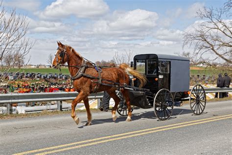 National Emergency Alert Test Outs Amish Men As Smartphone Owners Gets