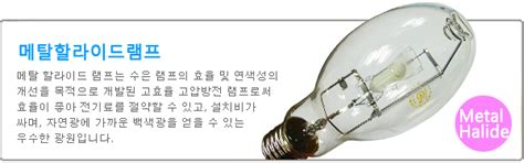 조명 전구의 종류 할로겐램프 백열램프 컴팩트형광램프 형광램프 방전램프 자외선램프 Led램프 네이버 블로그