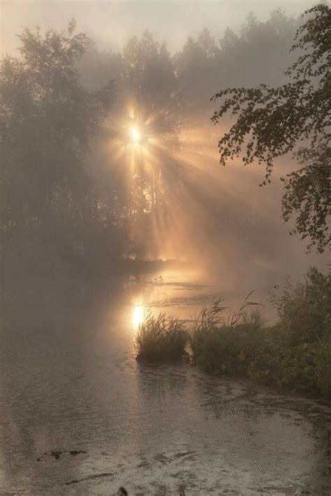 Sun Through The Mist Nature Photography Beautiful Nature Nature Aesthetic