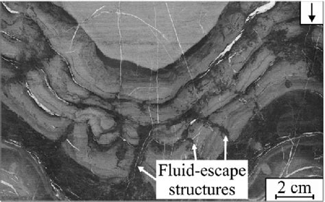 Fluid Escape Structures In A Stitched Core Scanner Image Of The Drill