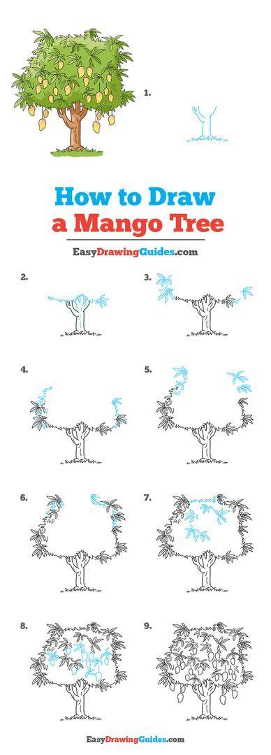How To Draw A Mango Tree Tree Drawing Simple Tree Drawing Mango Tree