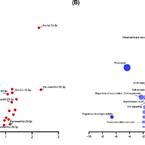 Differences In Mirna Profiles Of In Vitro And In Vivo Juveniles Support