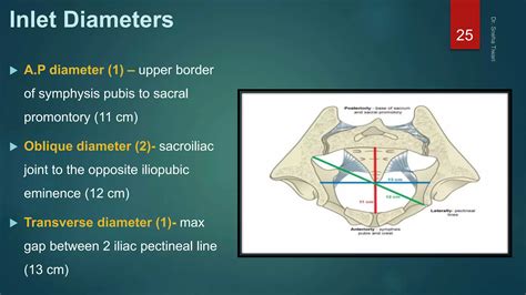Foetal Skull And Maternal Pelvis Pptx