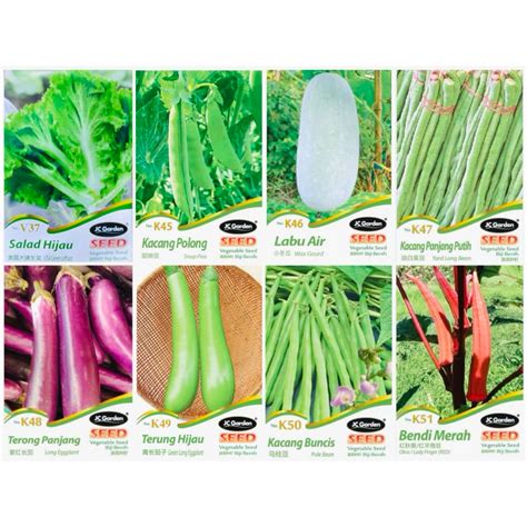 Jc Garden Vegetable Seed 1 Pcs Shopee Malaysia
