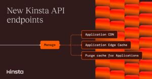 CDN Edge Caching And Clear Cache Kinsta API Endpoints Kinsta