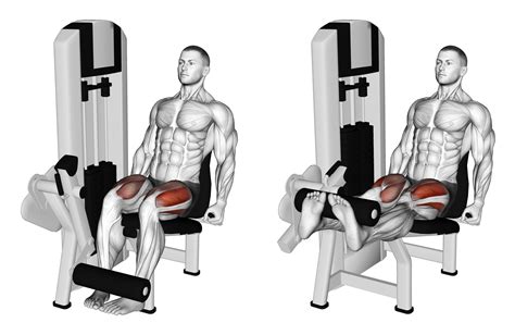 6 Best Outer Quad Exercises With Pictures Inspire Us