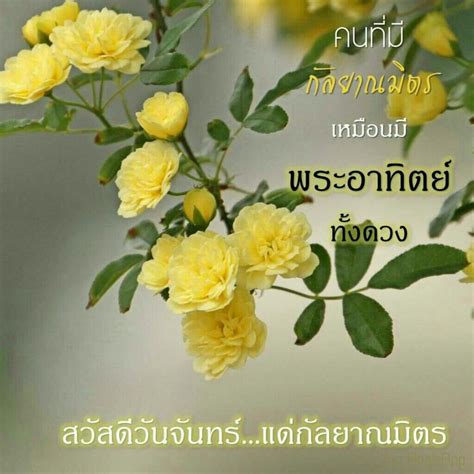 สวัสดี ดอกไม้สวย ดอกไม้ กุหลาบสีเหลือง