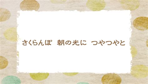 6 1 朝のフルーツはさくらんぼ 俳句 6月 季語紙飛行機575号
