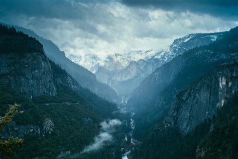 картинки пейзаж дерево природа лес на открытом воздухе камень
