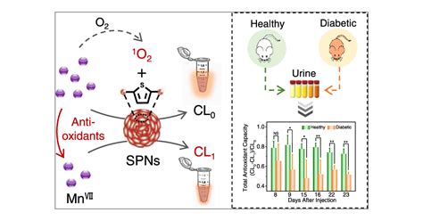 Semiconducting Polymer Nanoparticles Manganese Based Chemiluminescent Platform For Determining