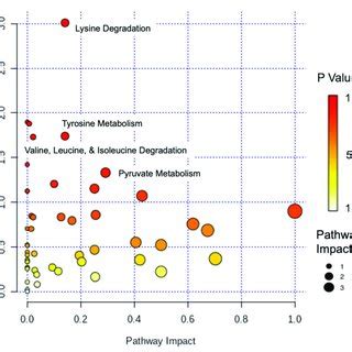 Log Transformed Pathway Analysis Of Sex And The Metabolome Data Is Download Scientific Diagram
