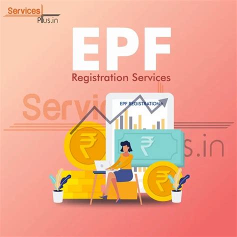 Epf Registration Services At ₹ 2999 Month In New Delhi Id 2851011558962
