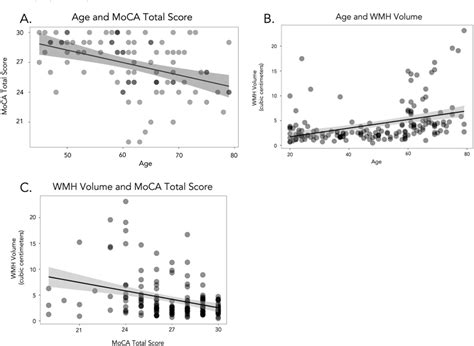 Figure 2 From White Matter Hyperintensity Load Mediates The Relationship Between Age And