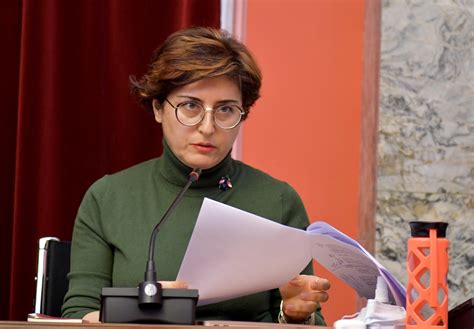 ხათუნა სამნიძე ა ა იპ „თერჯოლის სკოლამდელი აღზრდის მუნიციპალური ცენტრის“ ბიუჯეტიდან 2 მილიონ