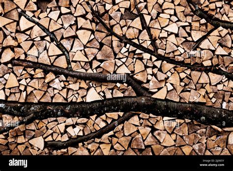 Full Frame Of Thick Tree Log With Dark Branches Near Heap Of Dry Woods