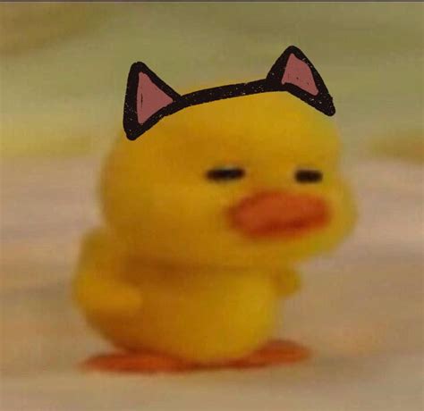 Artistic Duck Pfp Ideas That Add Charm To Your Online Presence