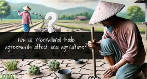 How Do International Trade Agreements Affect StudyX