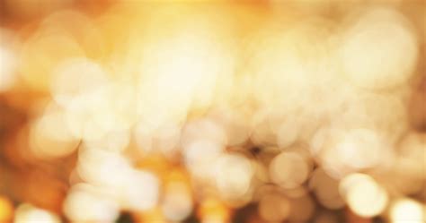 Bokehs Loop Motion By 3d Rendering Abstract Background Of Smooth Bokeh Movement And Repeating
