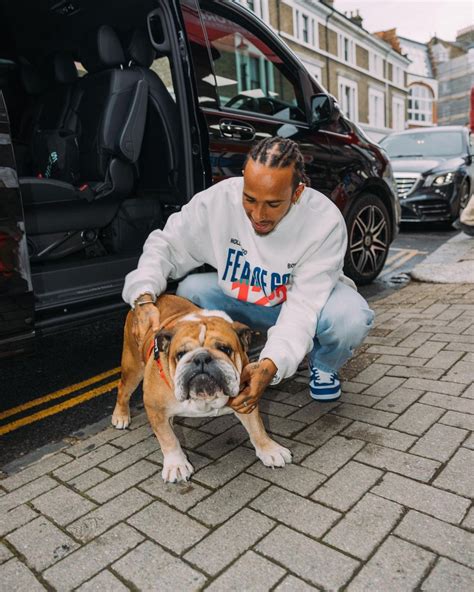 Cachorro De Lewis Hamilton Tem 1 Milhão De Seguidores E Marca De Grife