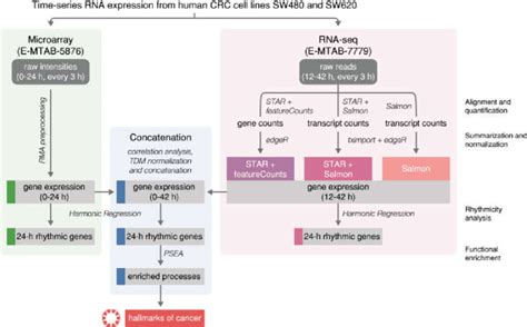 Workflow For The Comparison Of Time Series Microarray And Rna Seq Data Download Scientific